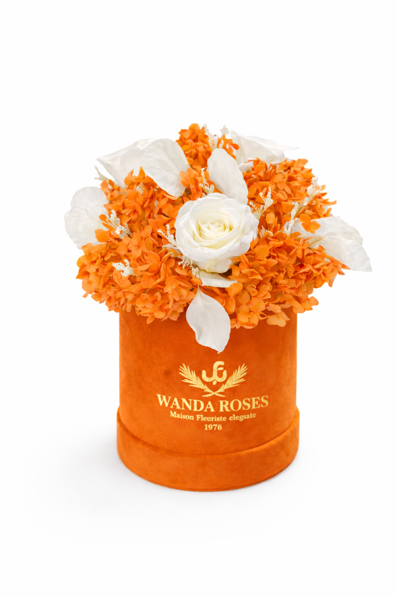 COLLECTION DÔME DE FLEURS – WANDA ROSES